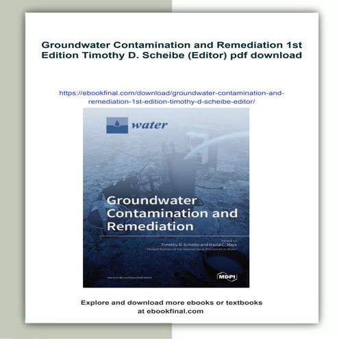 Groundwater Contamination and Remediation 1st Edition Timothy D ...