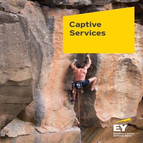 Captive Services Brochure_FINAL_April 2016 | PDF
