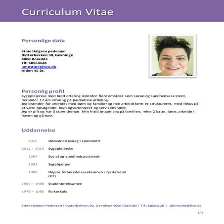 CV Stine | DOCX
