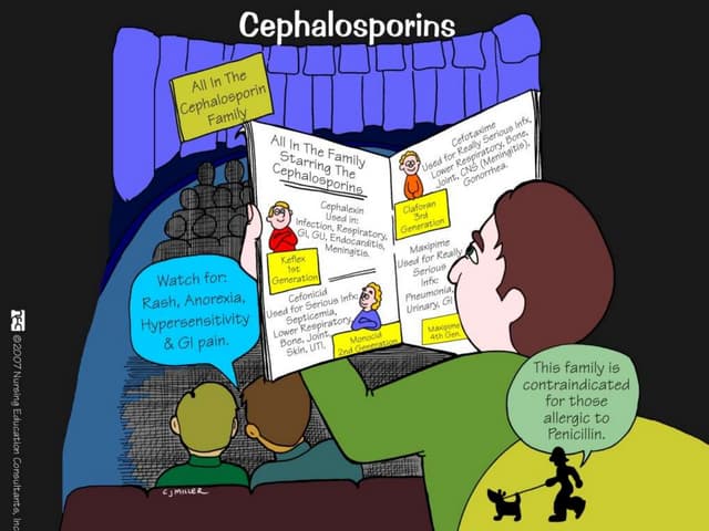 Third generation cephalosporins | PDF