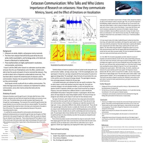 cetacean powerpoint 2015 | PDF