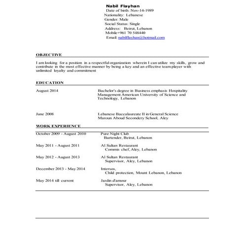 NabilFlayhan_CV | DOCX
