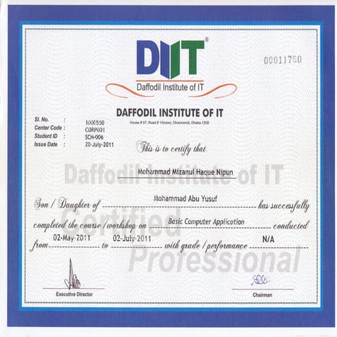 DIIT Computer Certificate | PDF