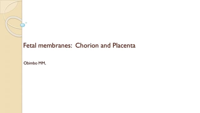 Placental anatomy and its functions | PPTX