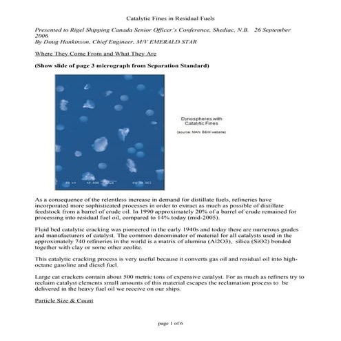 RSCI cat fines presentation, rev 2 | DOC