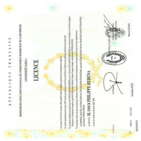 LICENCE MENTION FLE | PDF