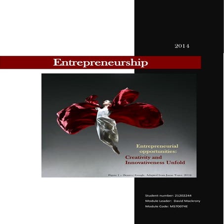 Enterprise & Innovation Assignment - Entrepreneurial Opportunities ...