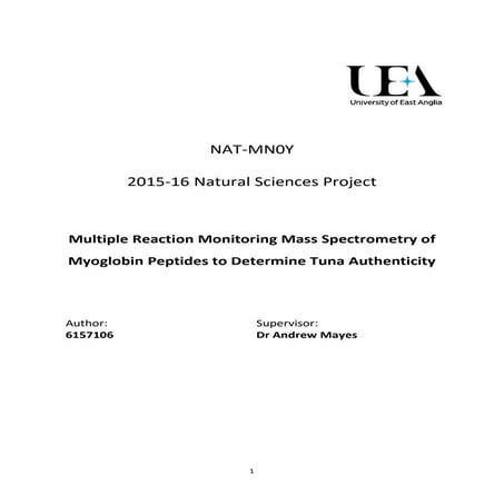 Masters Research Project | PDF