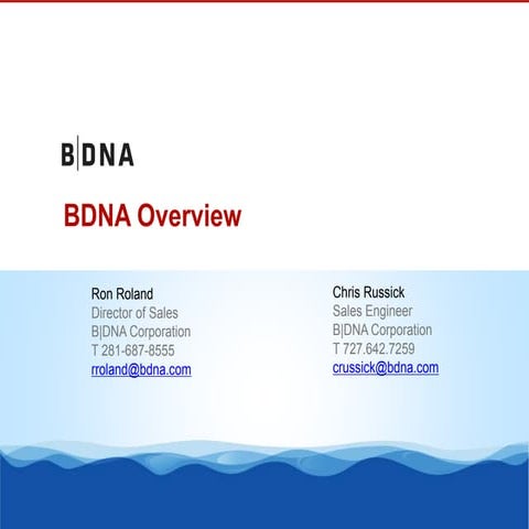 BDNA Technical Presentationshort | PPTX