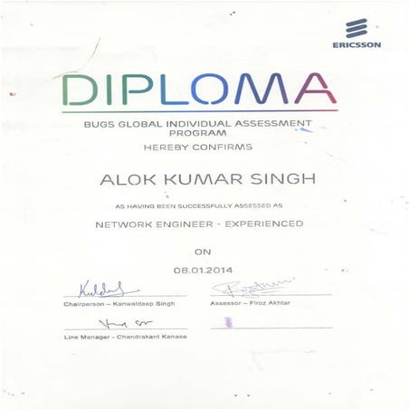 Bugs certification | PDF