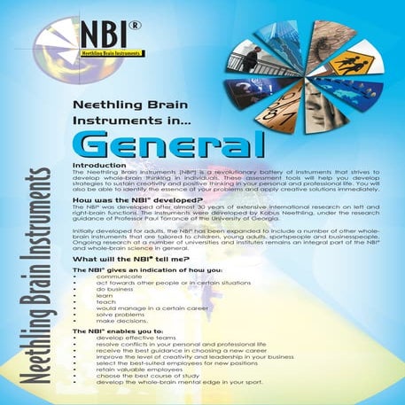 V. Sonnekus - Neethling Breinprofiel | PDF