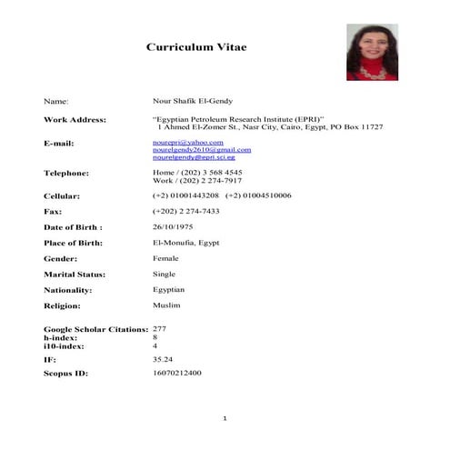 Nour El-Gendy Curriculum Vitae 1 | PDF