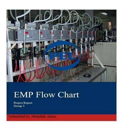 EMP flow | DOCX