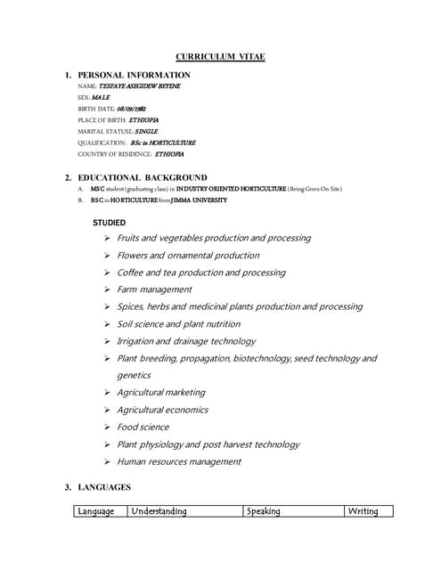 Mesfin g, curriculum vitae | DOC | Agriculture | Industries