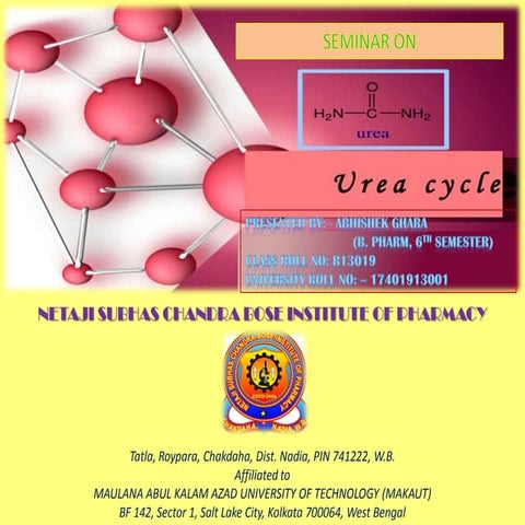 UREA CYCLE | PDF