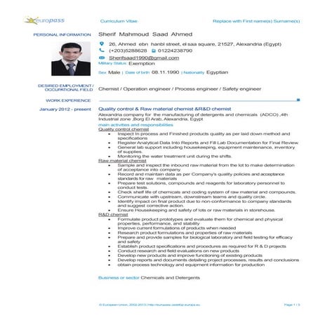 sherif saad cv | PDF