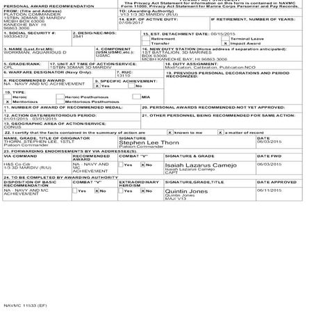 Navy and Marine Corps Medal Award | PDF