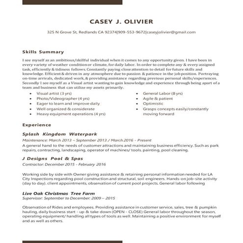 Casey Resume | PDF