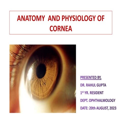 Ophthalmology anatomy of cornea Final.ppt