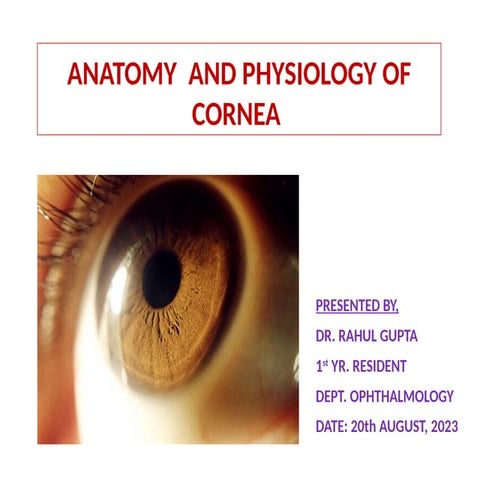 Corneal curvature and thickness | PPTX