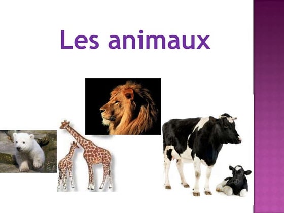 Les adjectifs BAGS/BANGS | PPT
