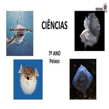 7 ANO_63_PEIXES.pptx