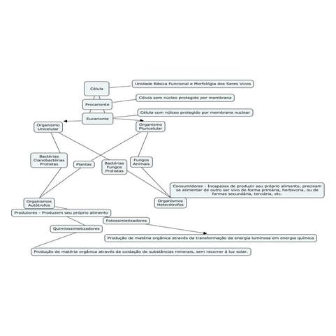 7a SéRie Mapa Conceitual | PDF