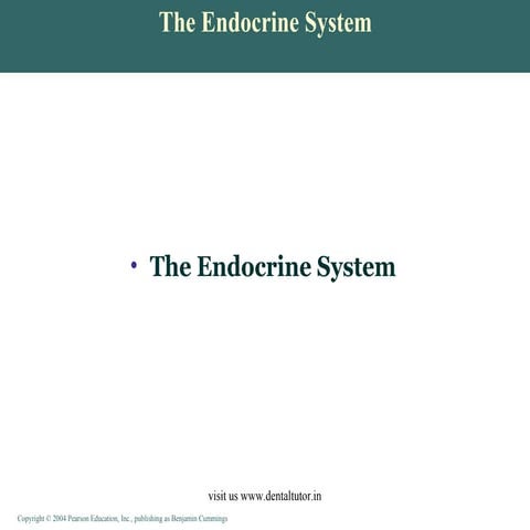 The endocrine system | PPT
