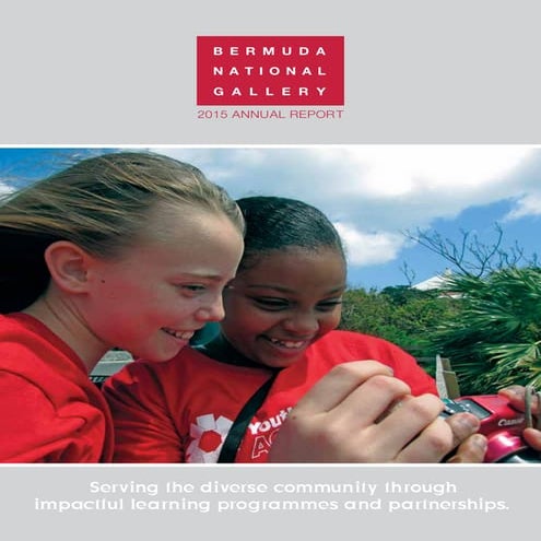 BNG 2015 Annual Report | PDF | Museums & Galleries | Attractions
