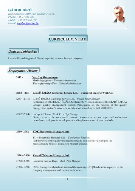 Amal Sayah CV | PDF