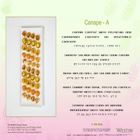 CANAPE-A(8만원) | PPT