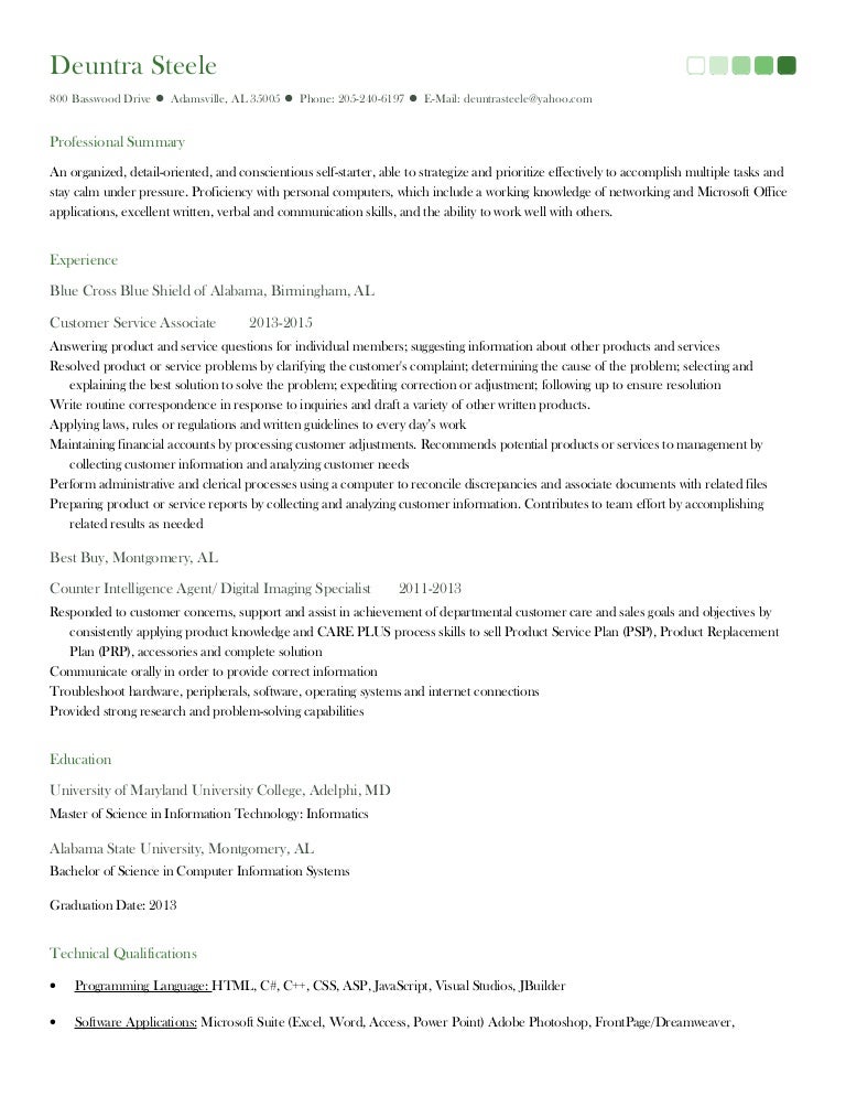Professional Summary Resume professional-summary-resume