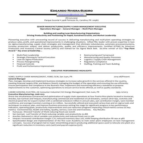 Resume Edgardo Rivera-Sueiro 2015-v1 | PDF