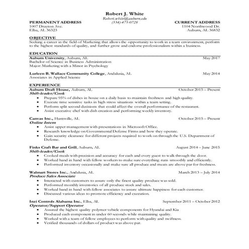 Robert White Resume | DOCX