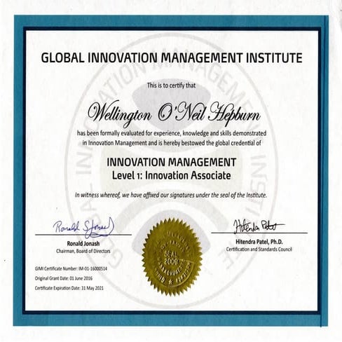 GIMI Level I Innovation Associate Certificate | PDF