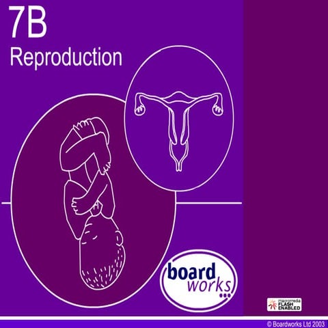 7 b reproduction | PPT