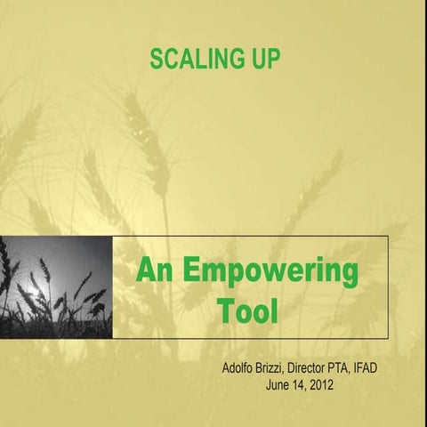 7 Learning and outreach event on scaling-up | PPS | Small and Medium ...