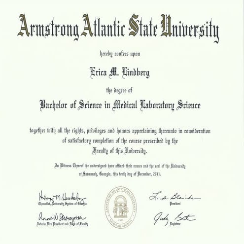 Armstrong MLS degree | PDF