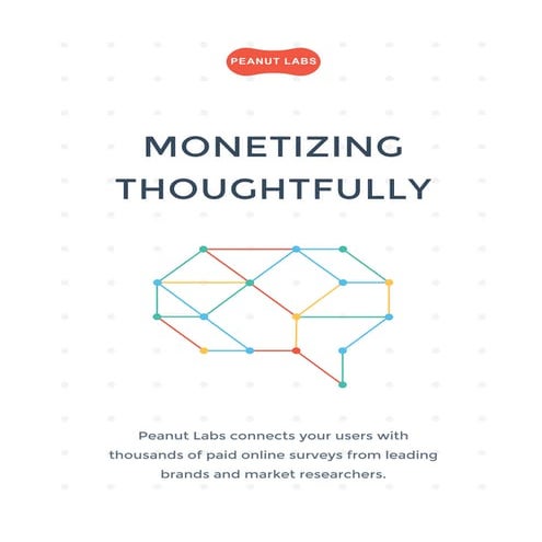 MONETIZATION | PDF