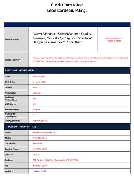 Sandy Telfer visual_cv | PDF
