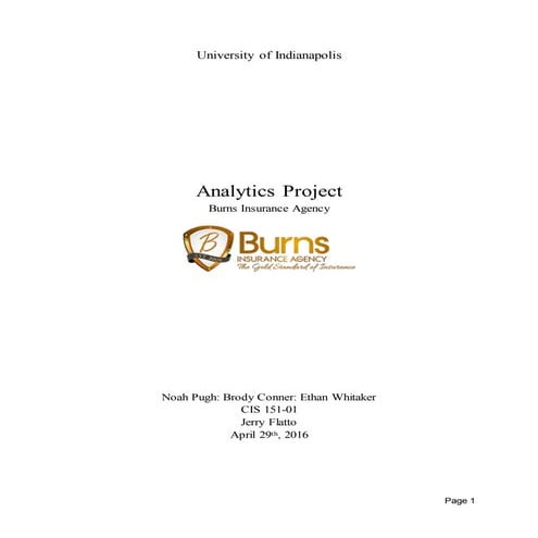 Burns Insurance Agency Data Analysis | PDF