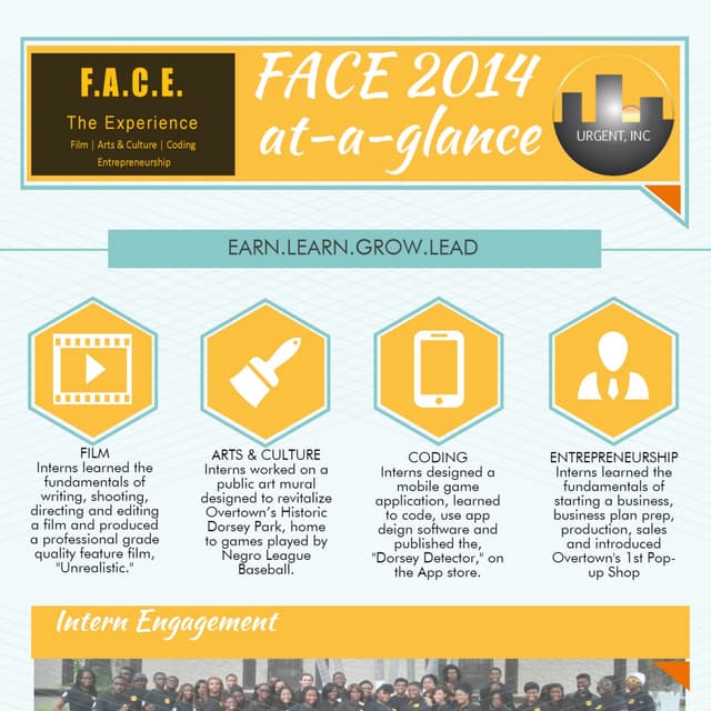 FACE at-a-glance 2014 | PDF