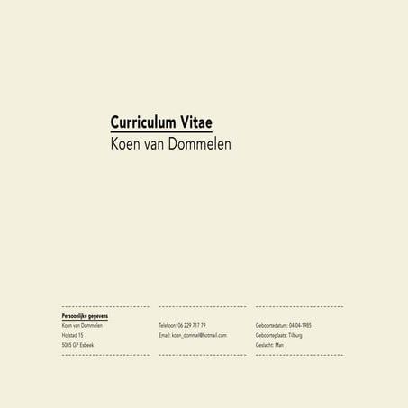 KvD-CV | PDF | Business | Business and Finance