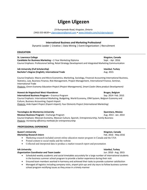 Tjipke Bergsma CV - April 2015 | PDF | Aviation Industry | Industries