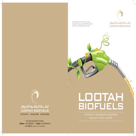 Company Profile- Lootah Bio fuel L.L.C | PDF