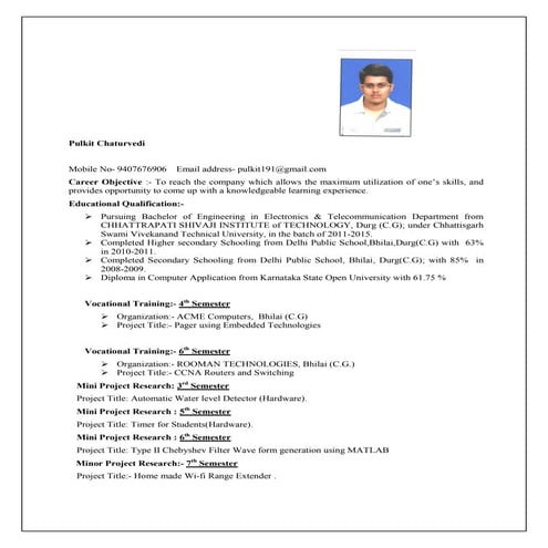 pulkit's Resume | PDF