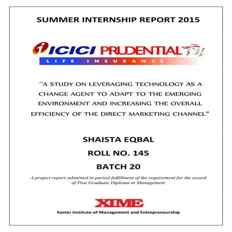Summer Internship Report | PDF