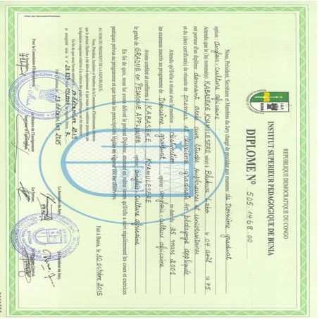 Undergraduate in ISP Bunia | PDF