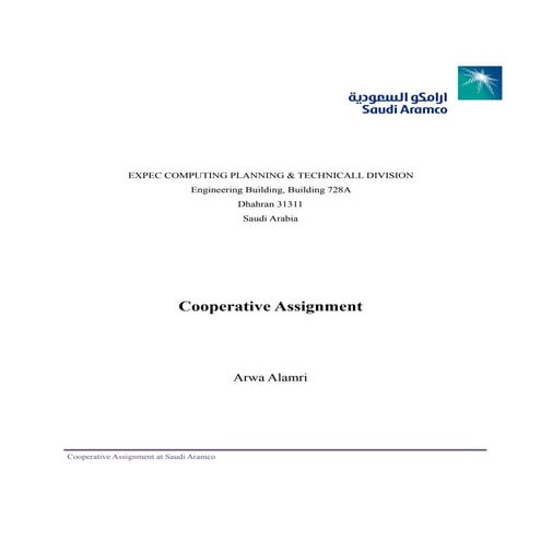 Co-op assignment report | PDF