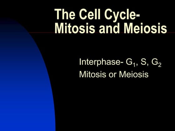 Mitosis And Meiosis | PPT
